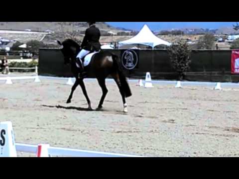 Video0097 Mp4 Youtube