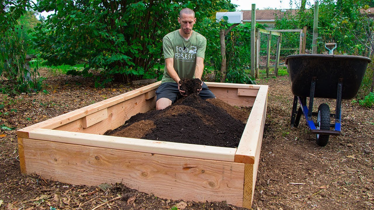15 Best Wood For Raised Garden Beds 2022 List