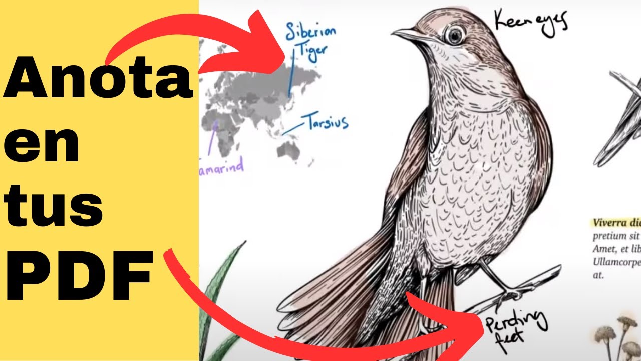 Drawboard Pdf Tutorial At Cristopher James Blog