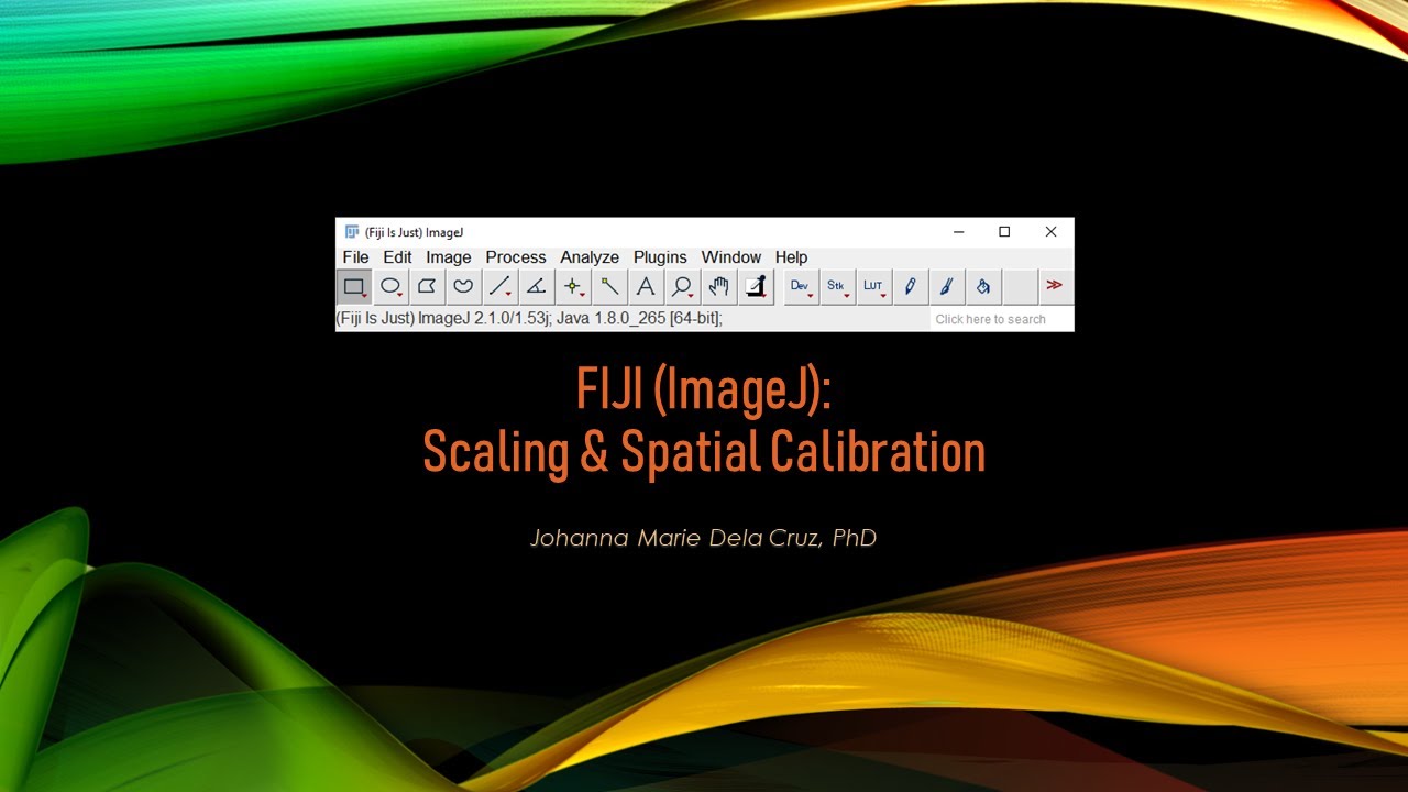 Fiji Imagej Scaling Spatial Calibration Youtube