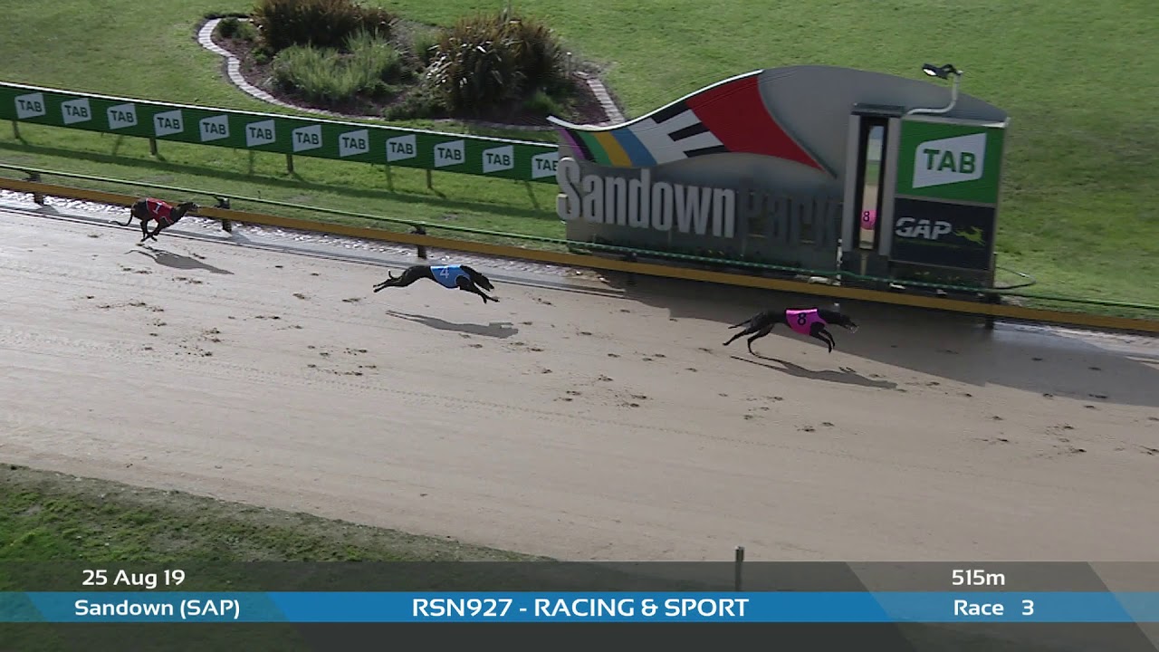 Sap Sun 25 Aug 19 R3 Youtube