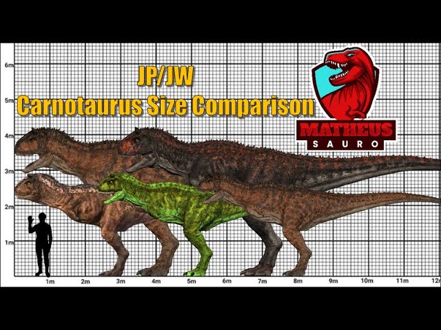 Carnotaurus Vs T Rex Size Allosaurus Vs Tyrannosaurus Difference And