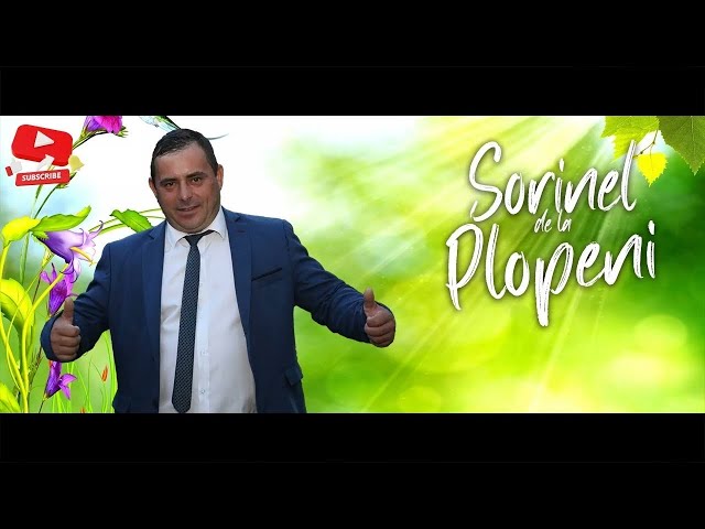 hore oltenesti hore si sarbe 2024 hore de joc hore la acordeon Mixaj ...