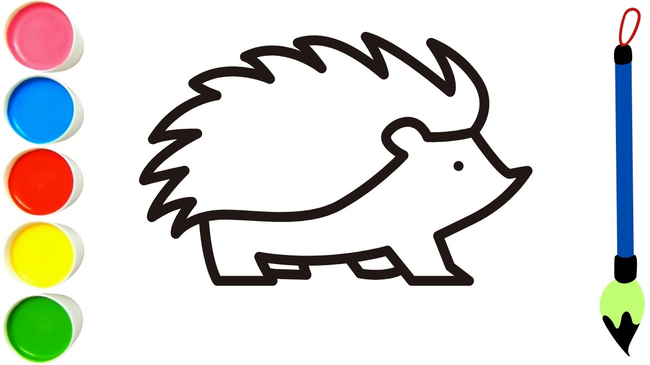 Easy Porcupine Drawing And Colouring Porcupine Draw For Beginners