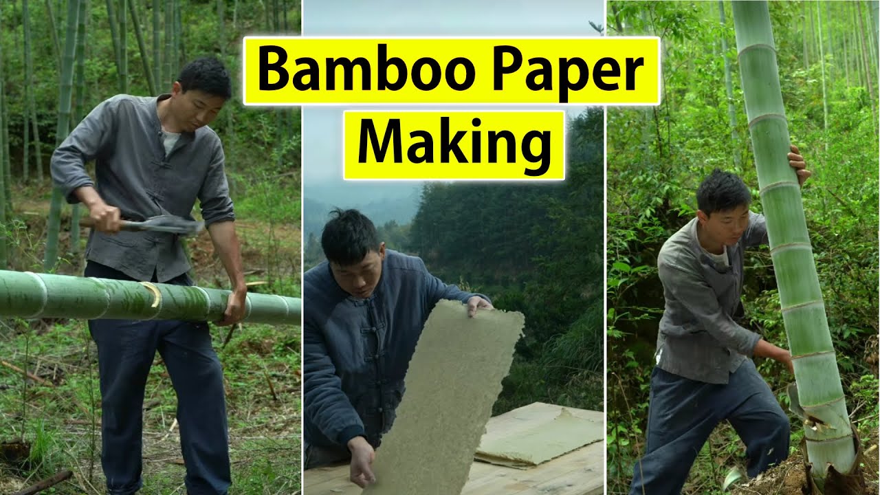 Bamboo Paper Making à Bamboo Craft Ideas Easy à How To Make Paper à Dly