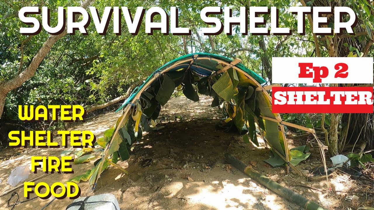 Survival Shelter Ep2 Survival Series Youtube
