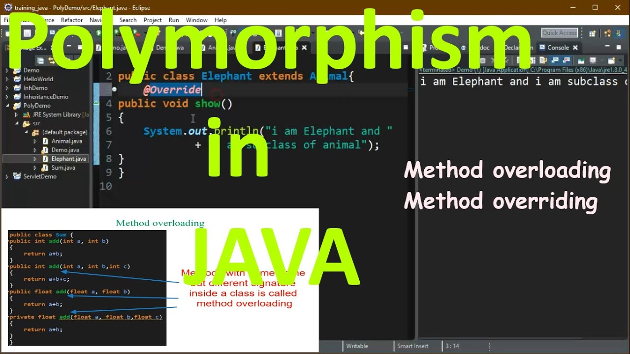 Polymorphism Method Overloading And Overriding In Java Tutorial 12