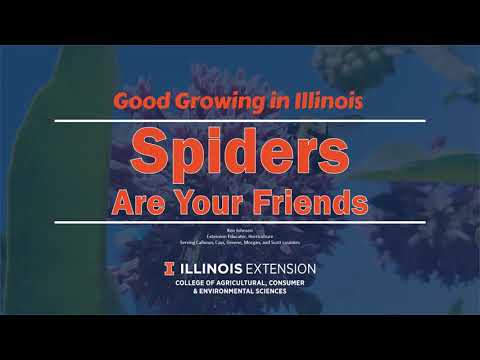 Spiders Are Your Friends Goodgrowing Youtube