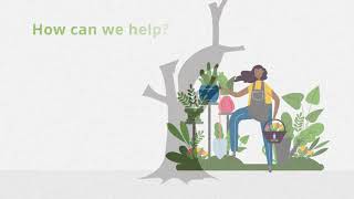 International Year Of Plant Health The Polyphagous Shothole Borer S ...