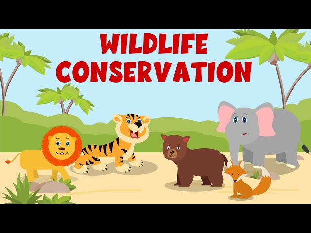 Animal Conservation Video Wildlife Conservation Learning Junction