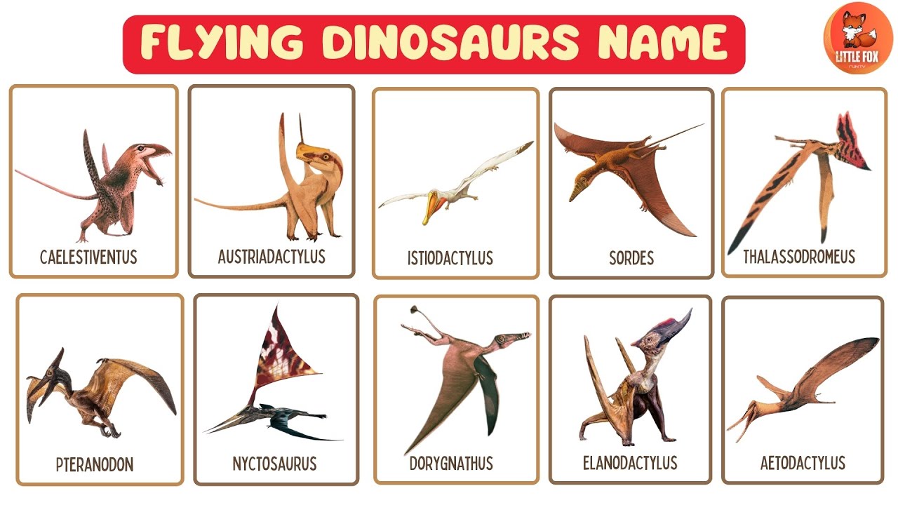 Flying Dinosaurs Names Dinosaur Names Dinosaurs Dinosaur Learning