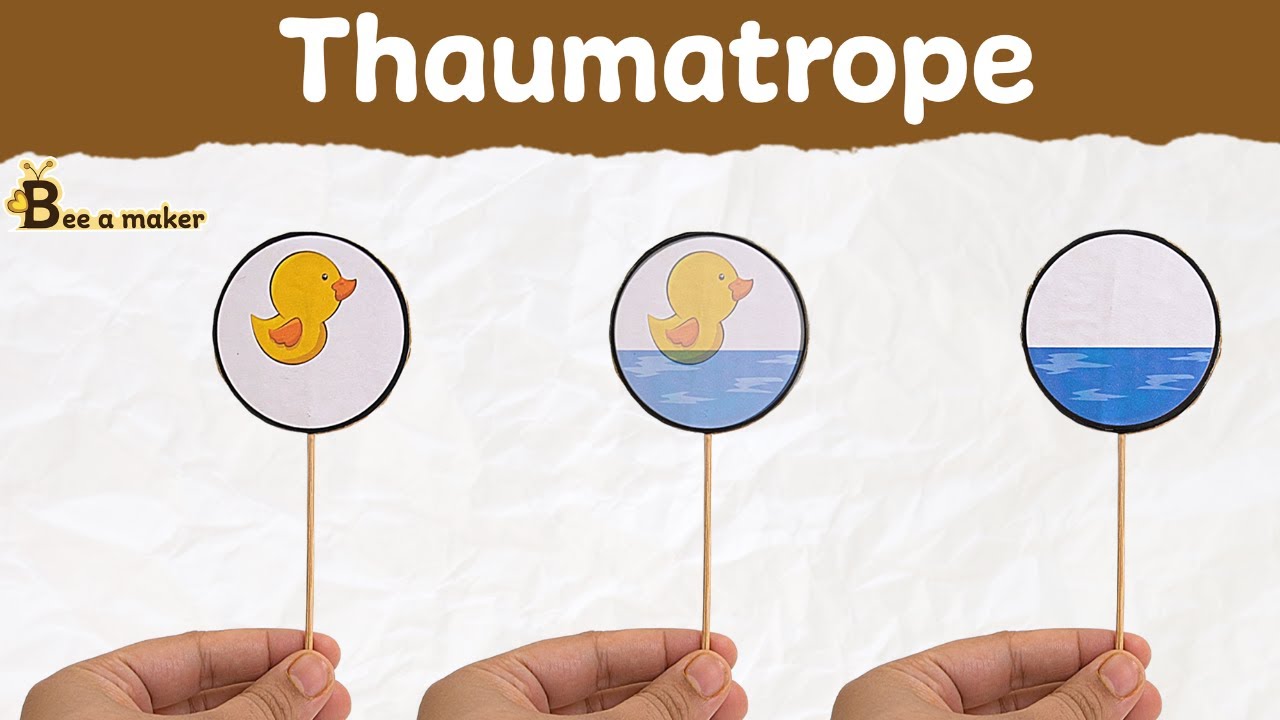 Diy Thaumatrope Toy Optical Illusion Diy School Project Science