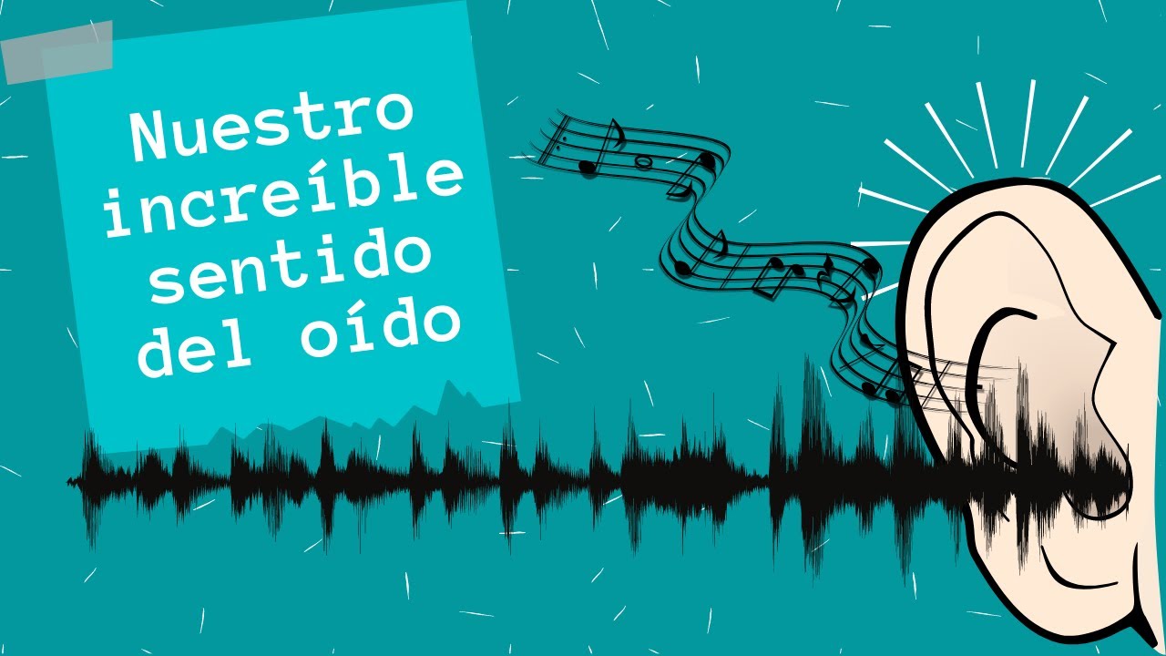 Cómo Se Produce La Audición Youtube