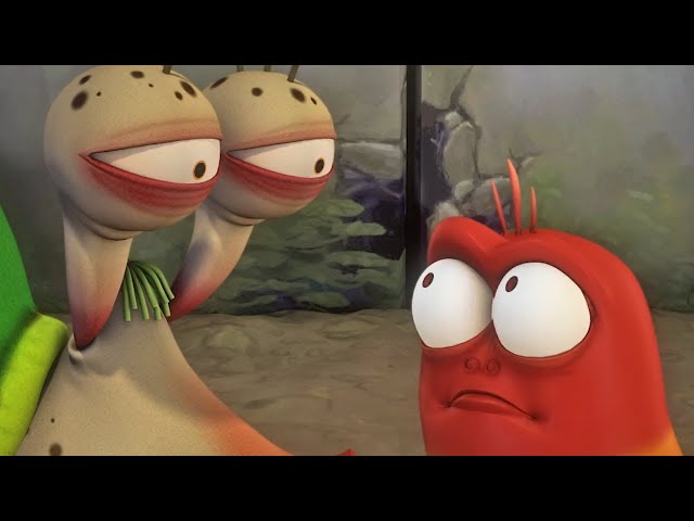 Larva Staring Contest Cartoons For Children Larva 2018 Larva