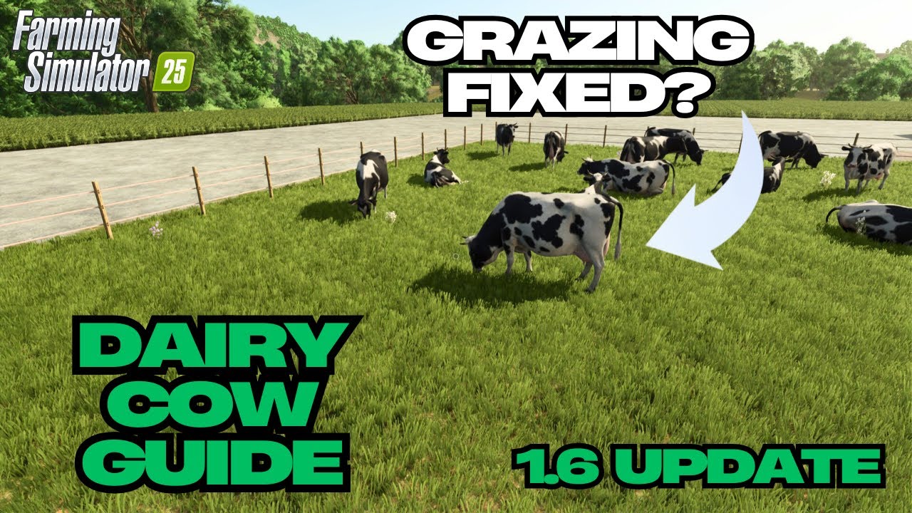Dairy Cows Guide After Patch 1 6 Farming Simulator 25 Youtube