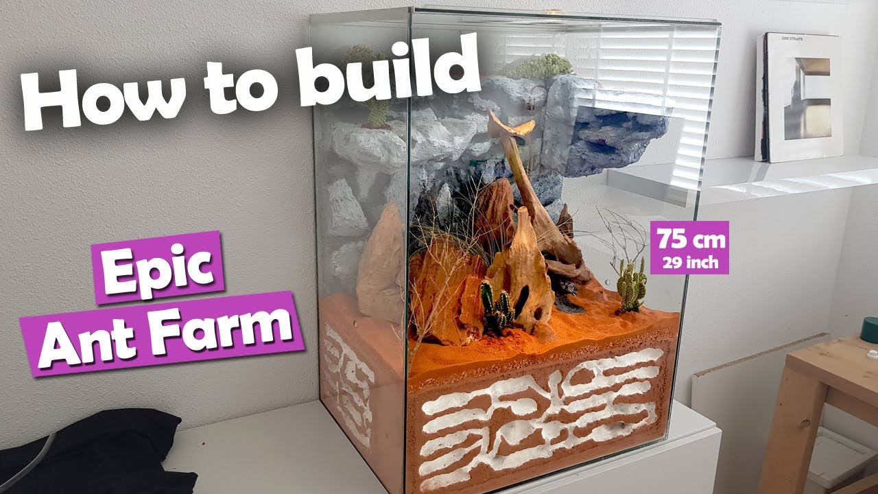 How To Build An Epic Ant Farm Diy Formicarium Youtube
