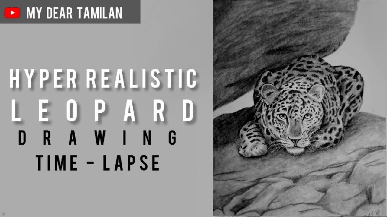 Hyper Realistic Leopard Drawing Time Lapse Youtube