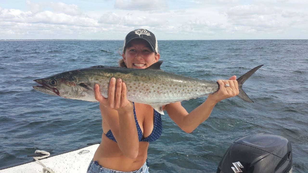 6 Fish Caught While Deep Sea Fishing In The Gulf рџ єрџ ё Youtube