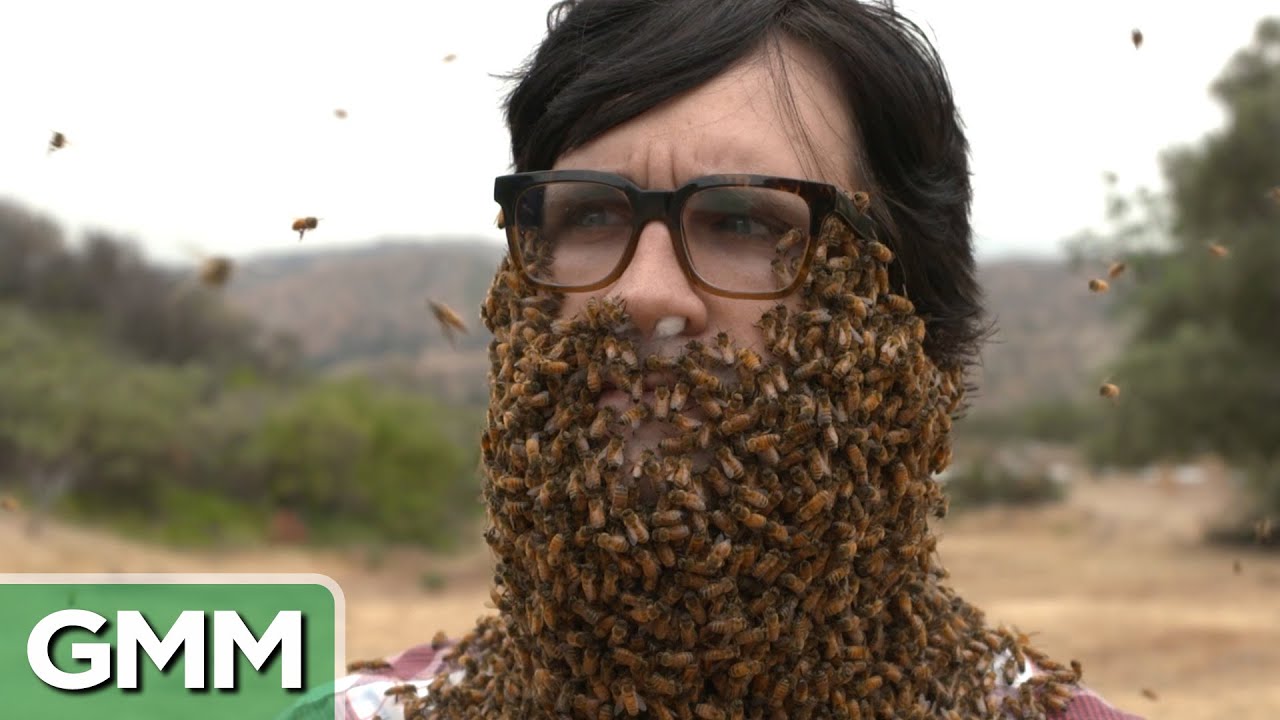 10 000 Bee Beard Youtube