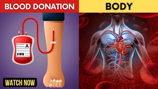 What Happens To Your Body After You Donate Blood Health Maestro Mp3 ...