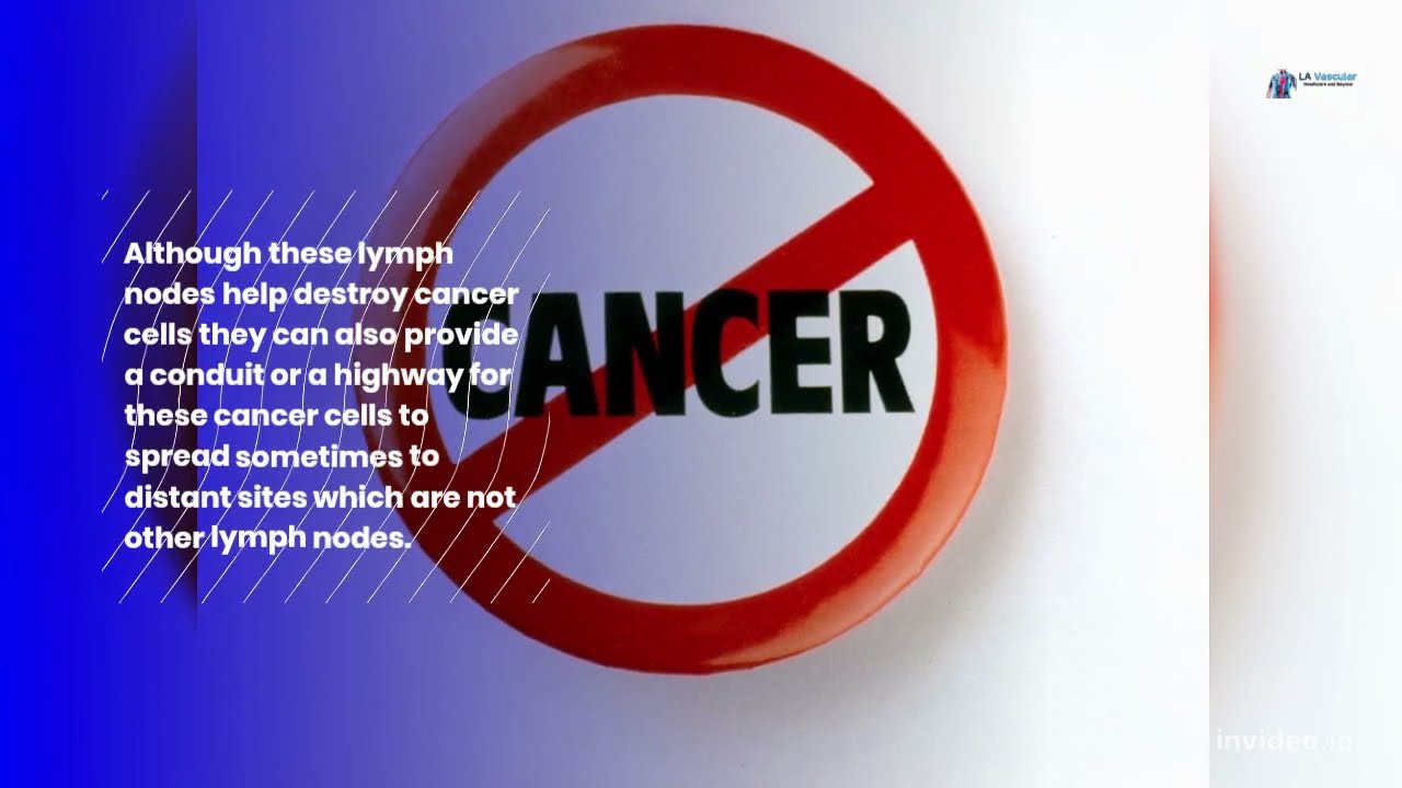 Lymph Nodes Youtube