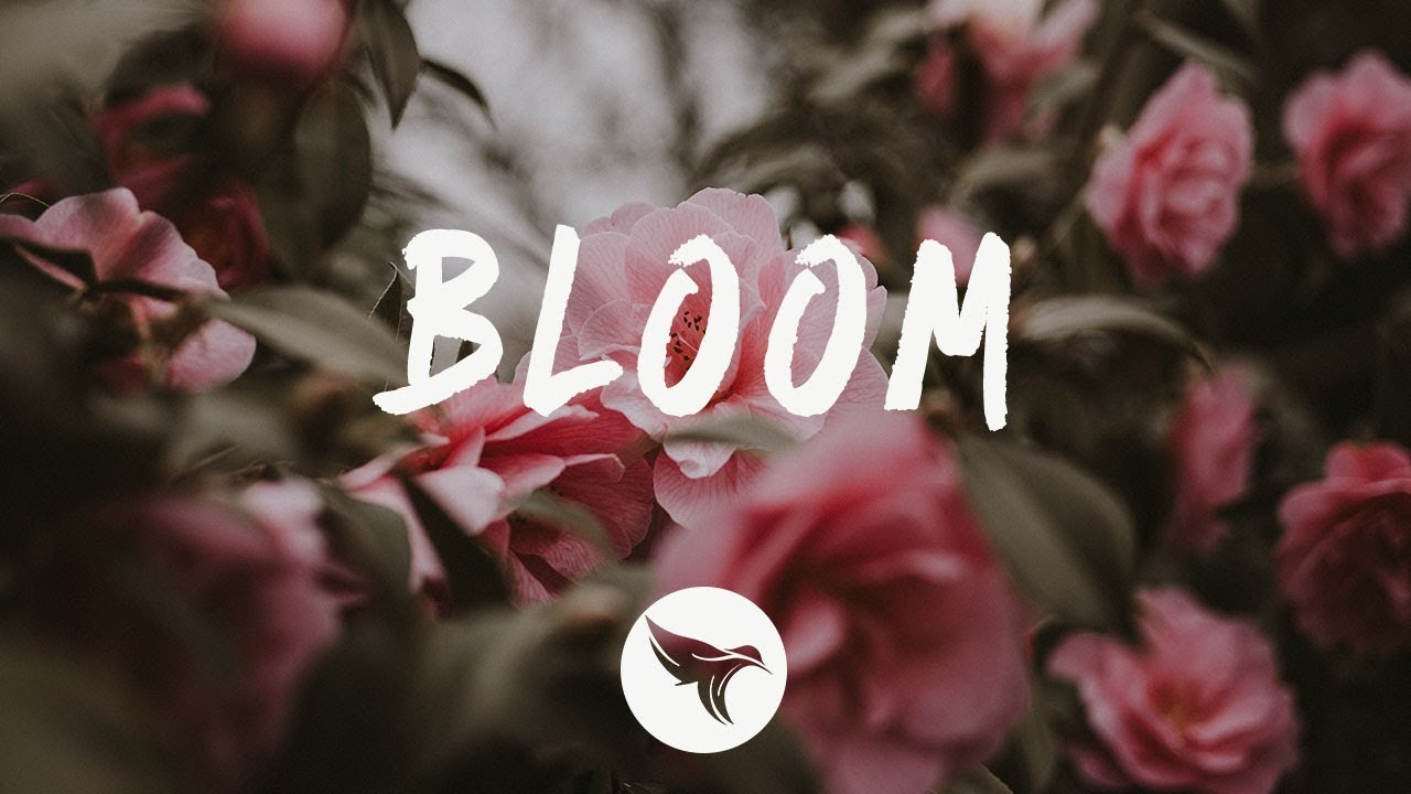 Dabin Bloom Lyrics Ft Dia Frampton Youtube Music