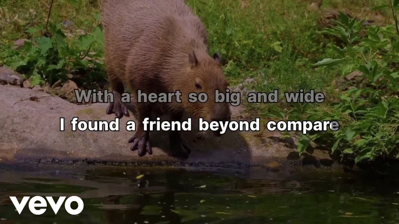 Chancelle I Have Bought A Capybara Lyric Video Youtube