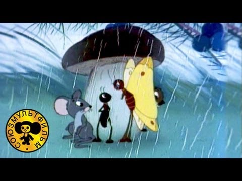 сказки сутеева грибок теремок Youtube