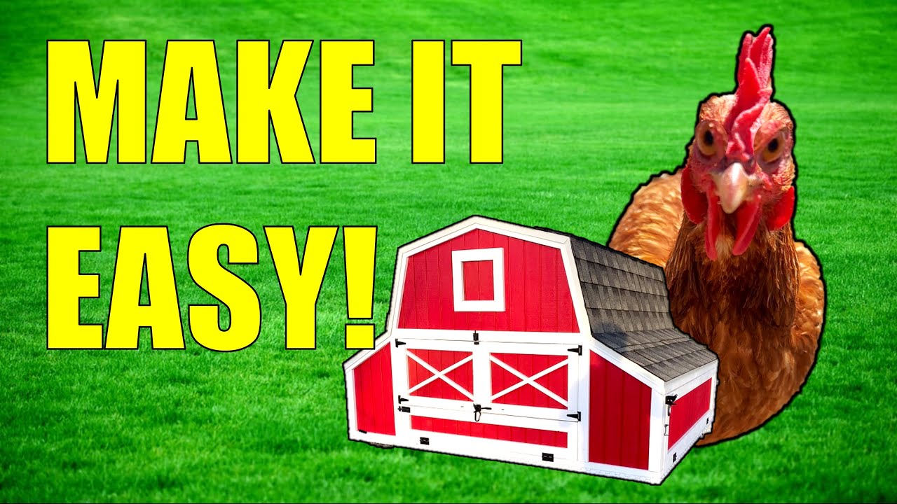 Raising Chickens For Beginners Youtube