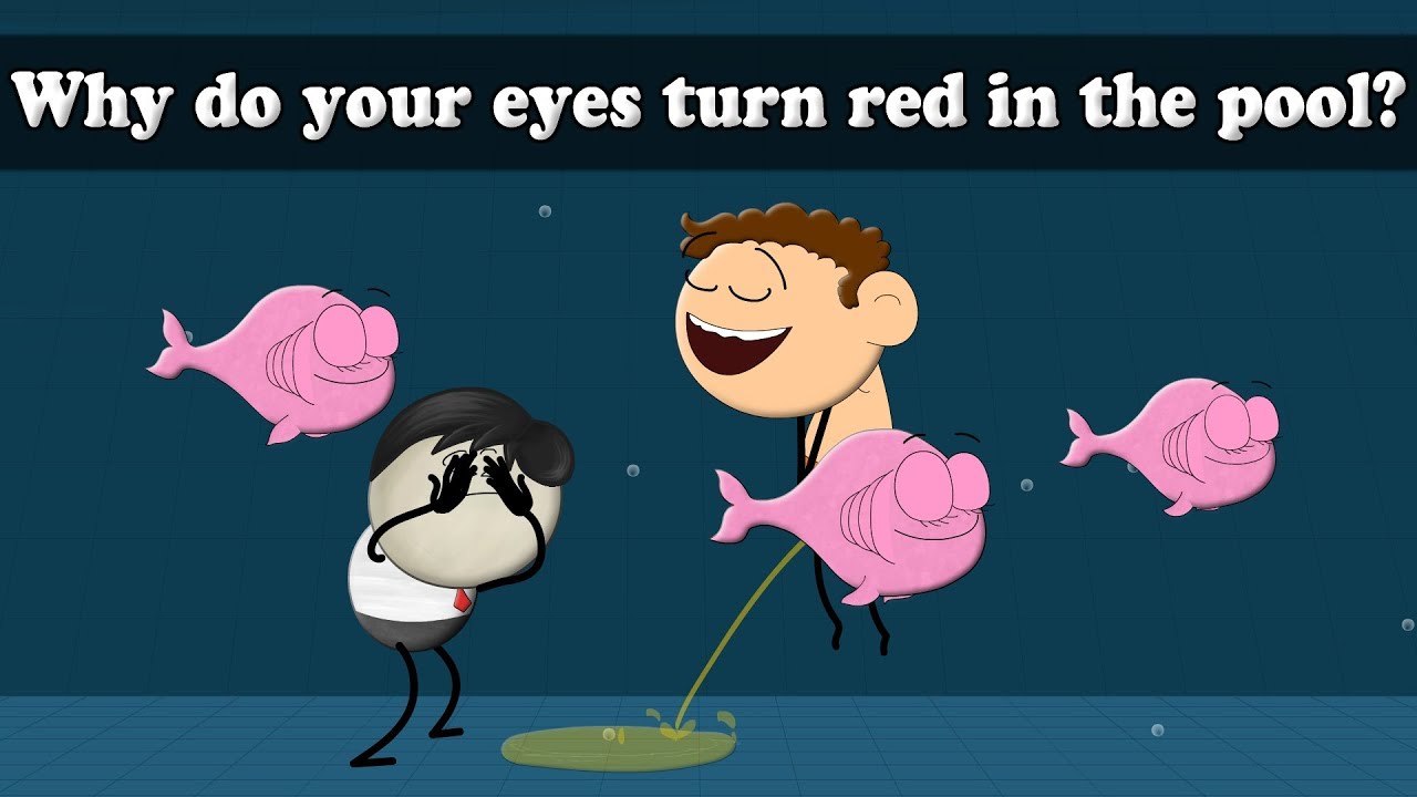 Why Do Your Eyes Turn Red In The Pool Aumsum Kids Science