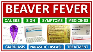 Giardiasis Beaver Fever Symptoms Causes Diagnosis Giardiasis