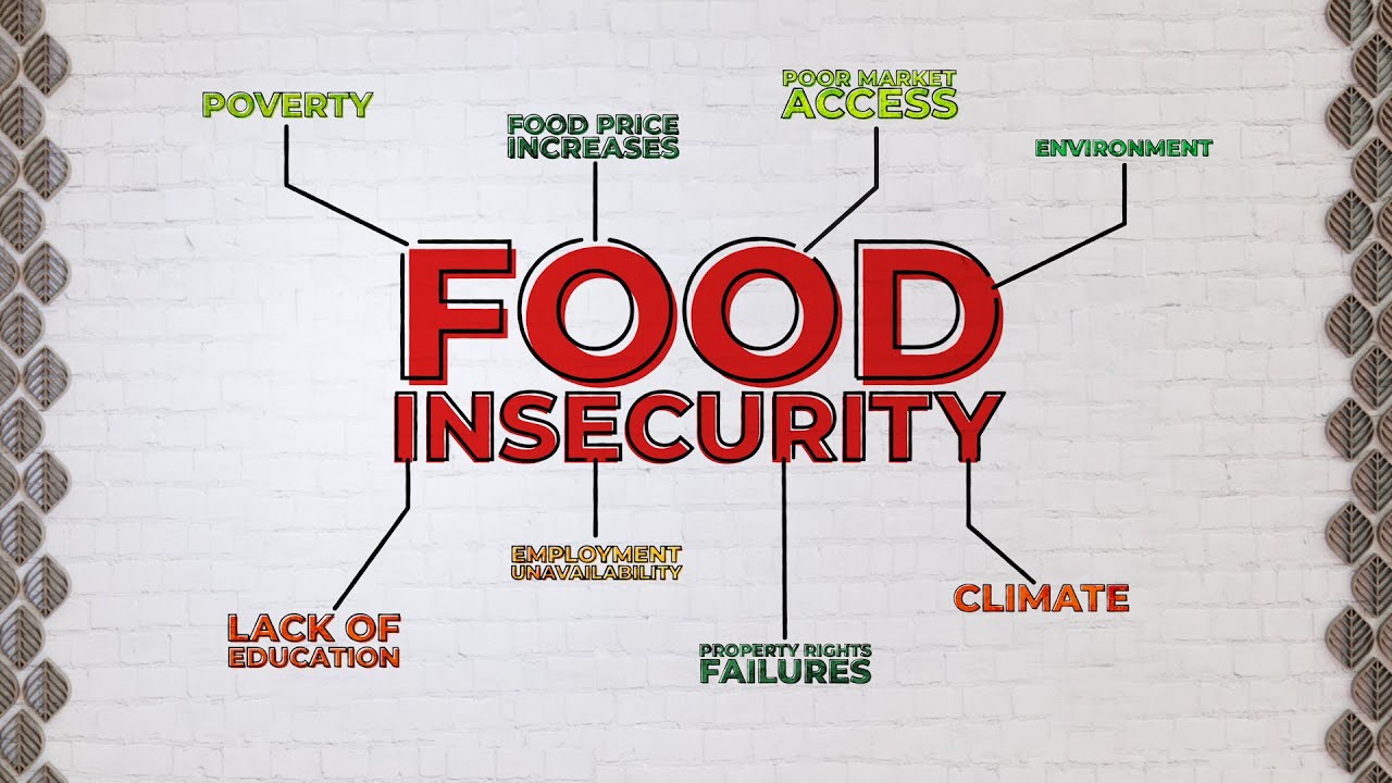 What Is Food Insecurity Youtube