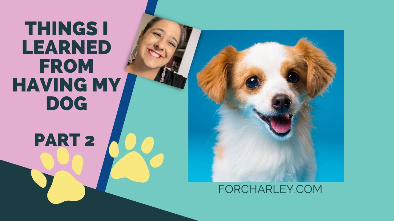 Things I Learned From My Dog Part 2 Youtube
