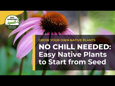 What It Called To Planting Native Plants