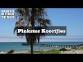 Pinkster Koortjies Preek Pinkster Koortjies Mp3 Music & Mp4 video downloads