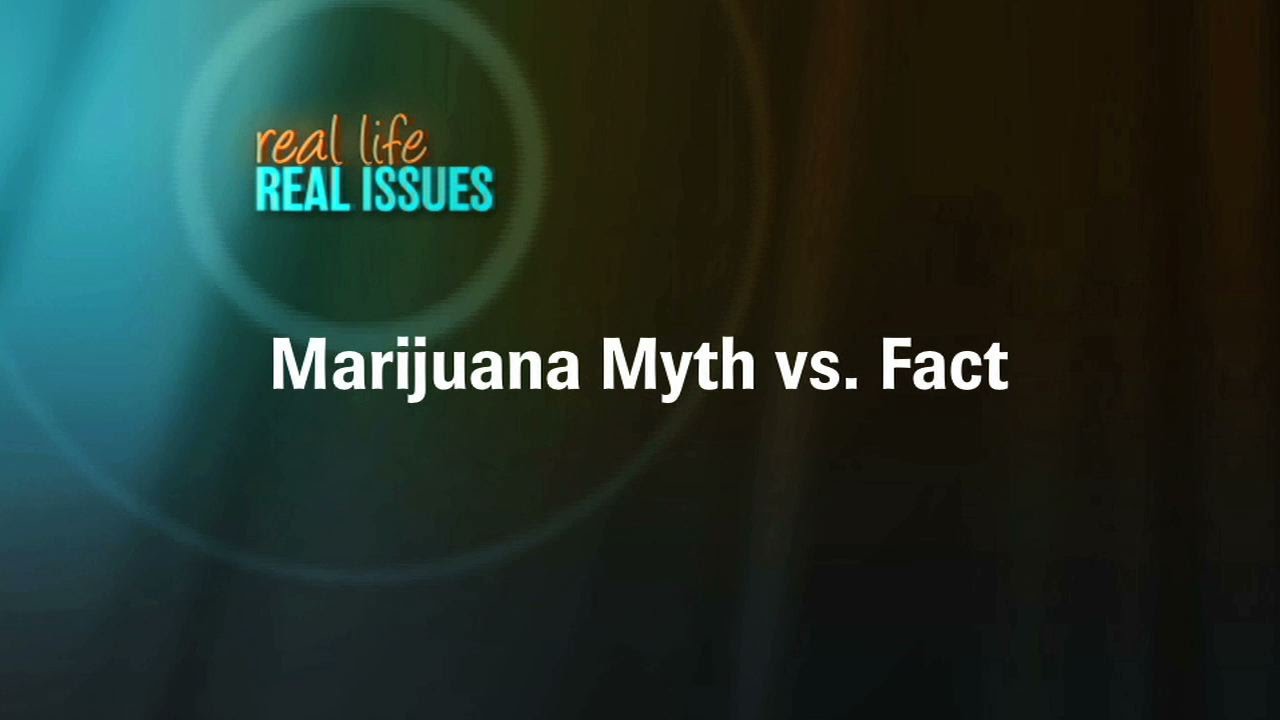 Marijuana Myth Vs Fact Youtube