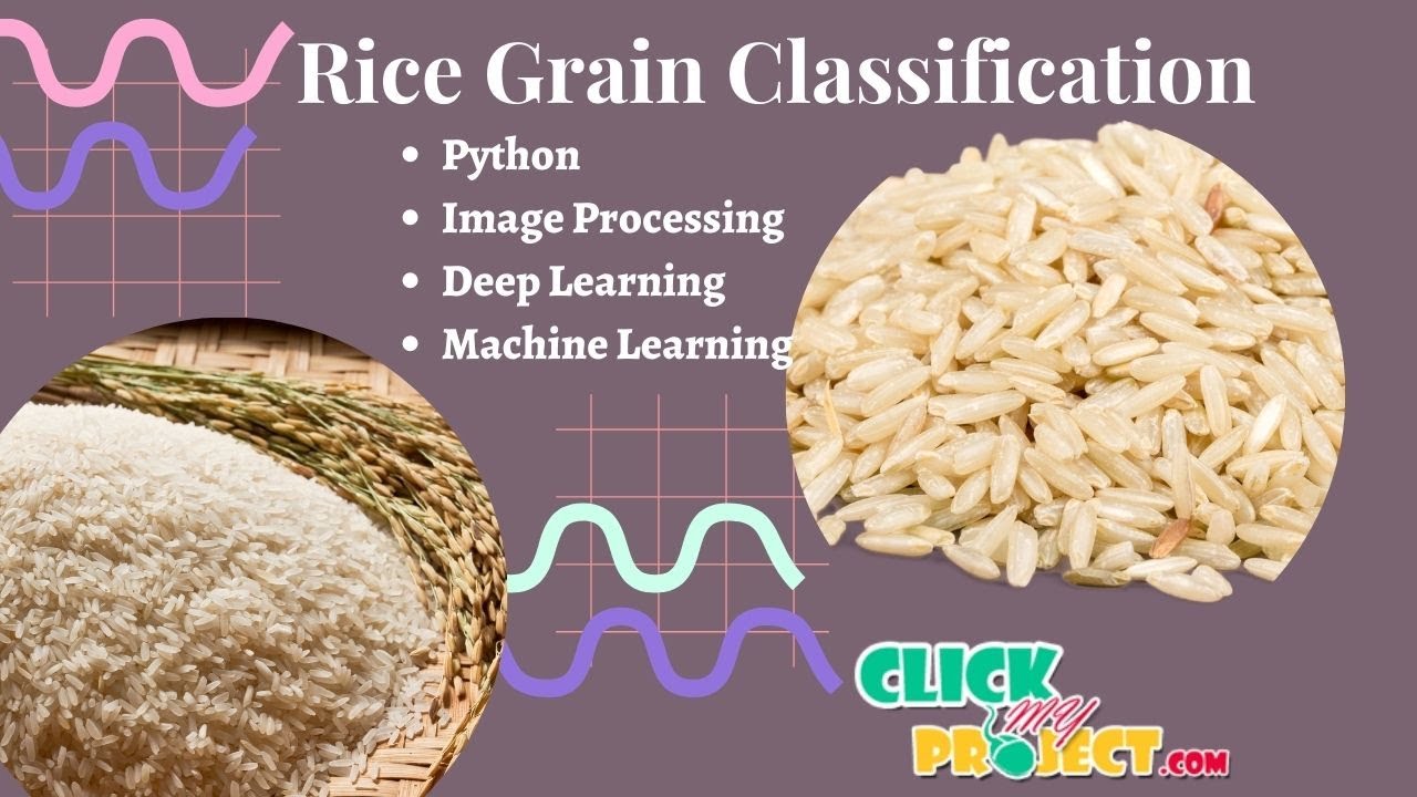 Python Image Processing Project Rice Classification Using Machine
