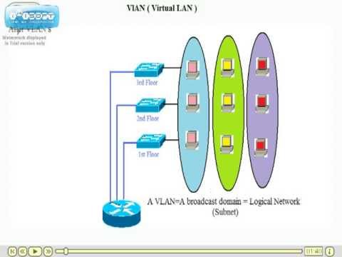Virtual Lan Vlan Cisco Switching Technology Youtube