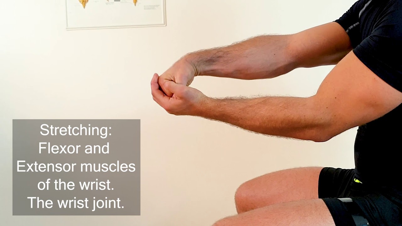 Forearm Extensor Exercises Climbing At Michele Fields Blog
