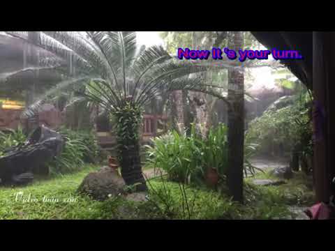 Tiny Talk 1b Unit 1 The Weather Song Youtube