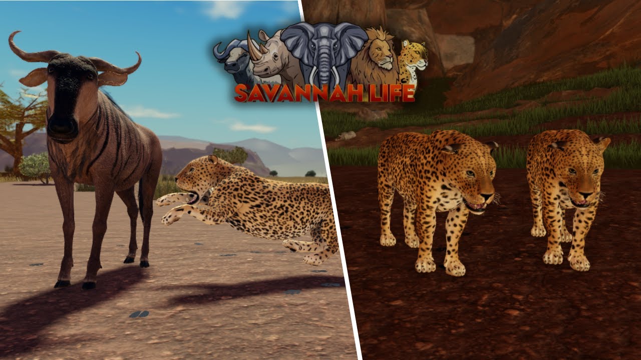 Leopard Hunting Everyone In Savannah Life вџђ Roblox рџђ рџ Pt3 Youtube
