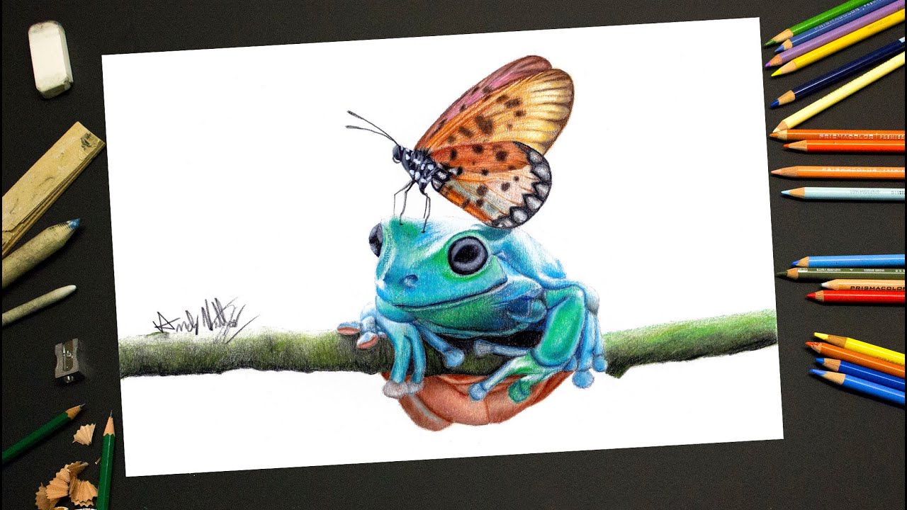 Drawing A Frog Butterfly Time Lapse Speed Art Youtube