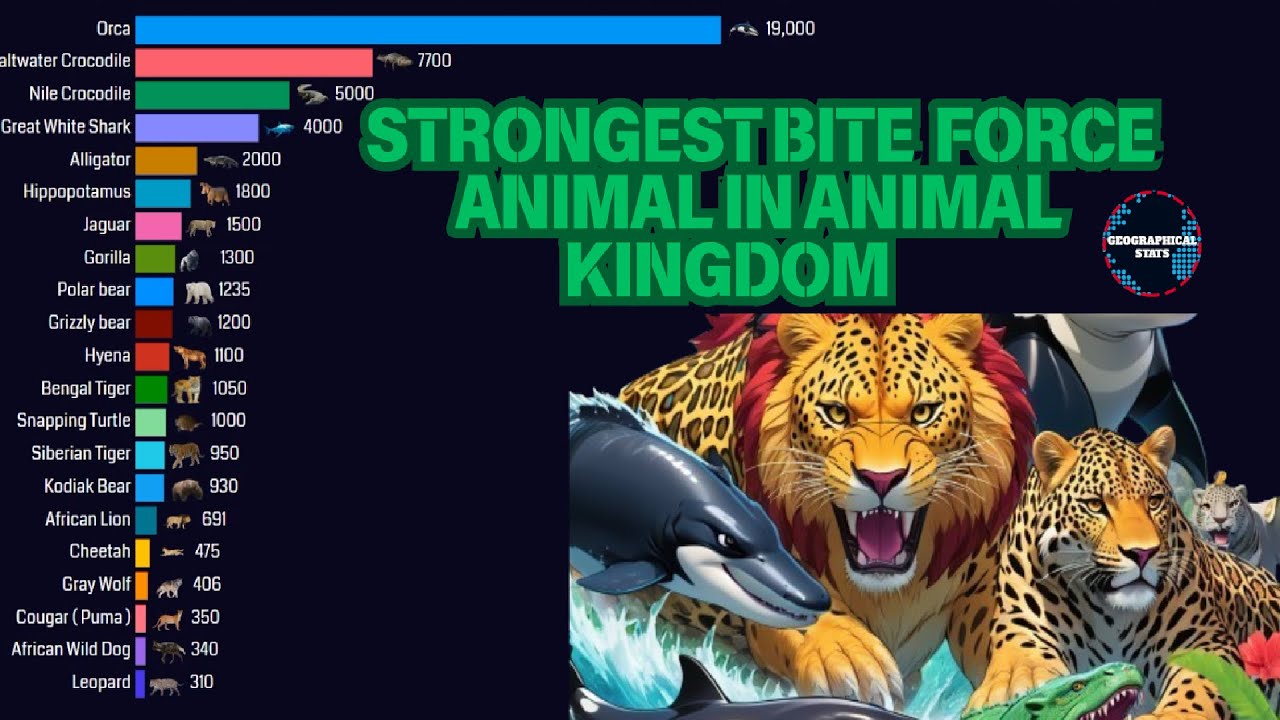 Strongest Bite Force Animal In Animal Kingdom Geographical Stats