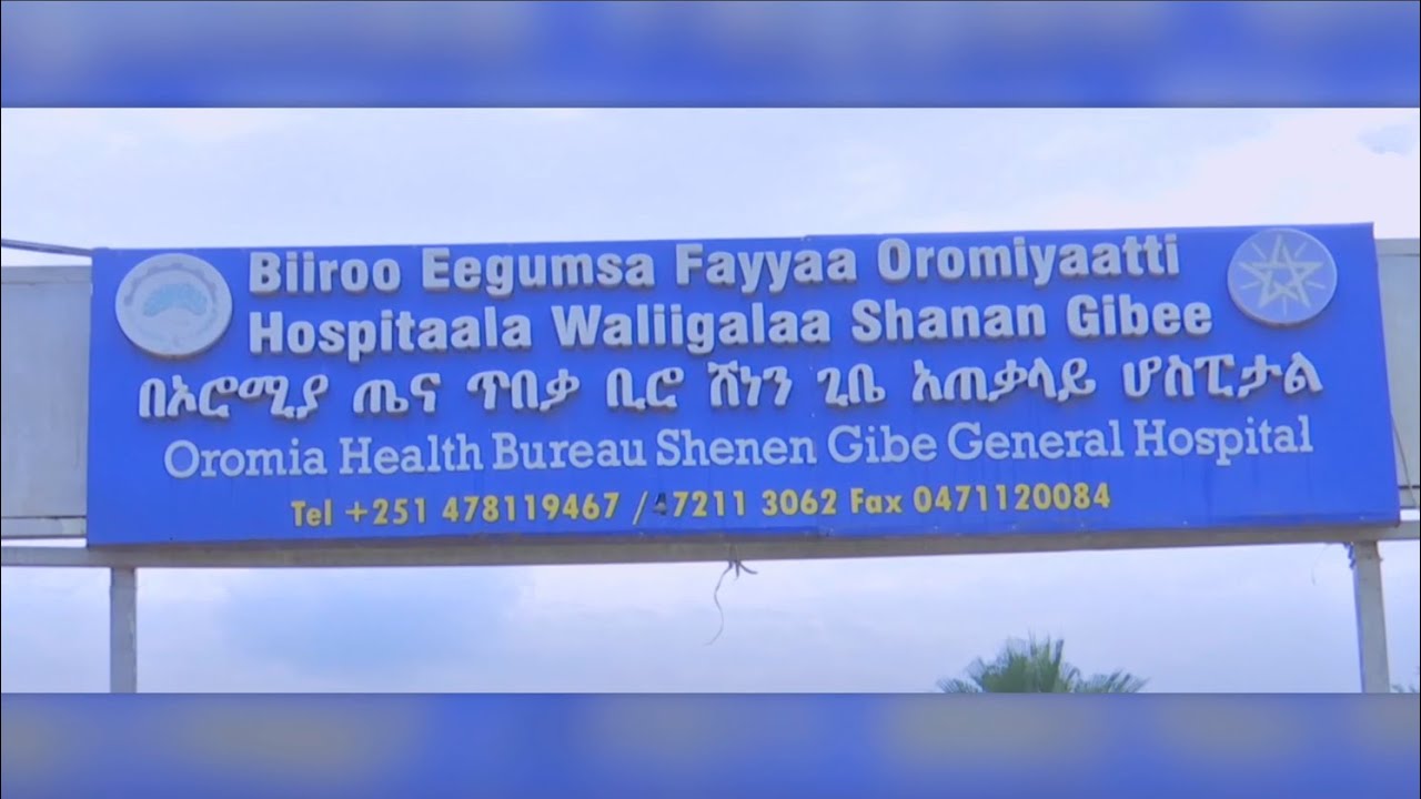 Oromia11 Oduu 12 10 2024 Youtube