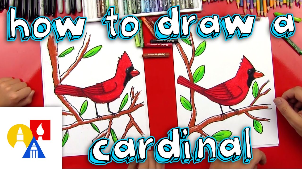 Cardinal Bird Drawing How To Draw A Red Bird Red Cardinal Bird