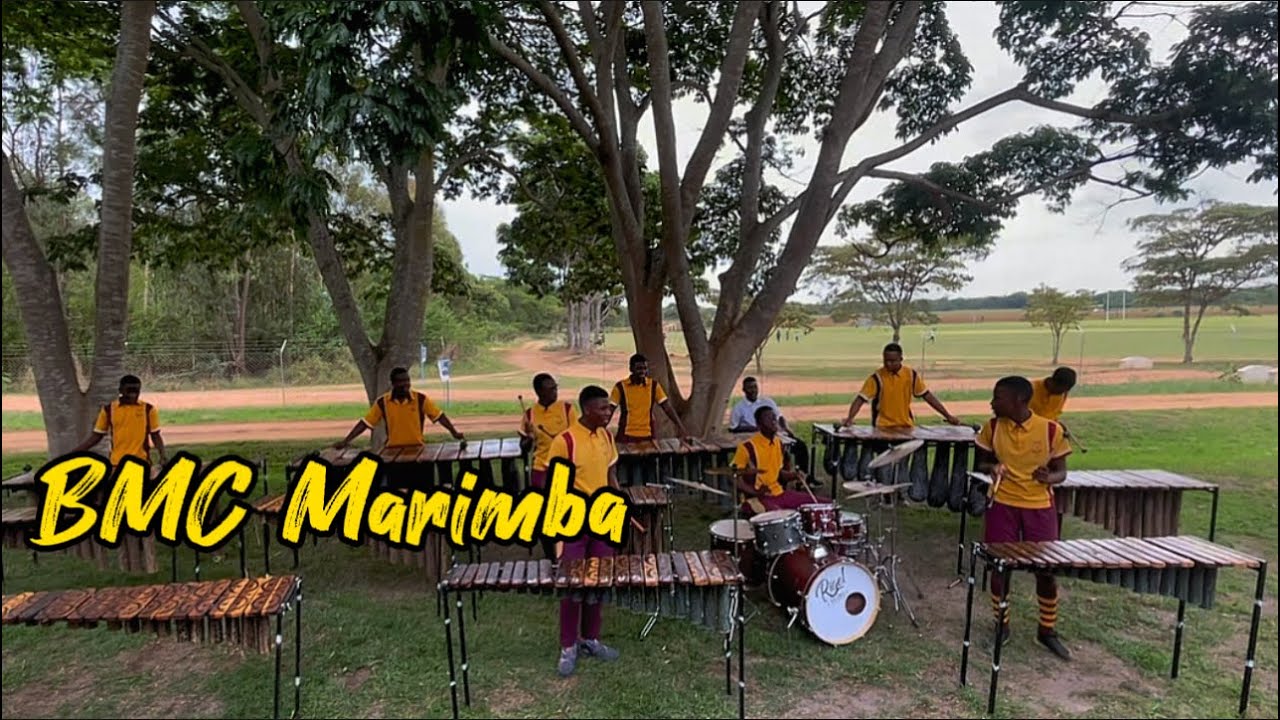 Bernard Mizeki Marimba Vibes 365days Of Marimba Day 326 Youtube