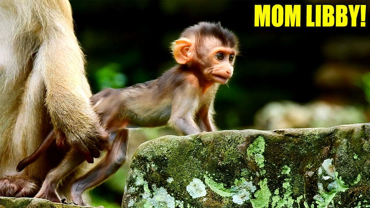 What Are You Looking For Brady Maybe He Looked Carefuly To His Mom