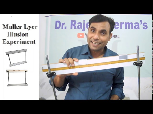 Muller Lyer Illusion Experiment