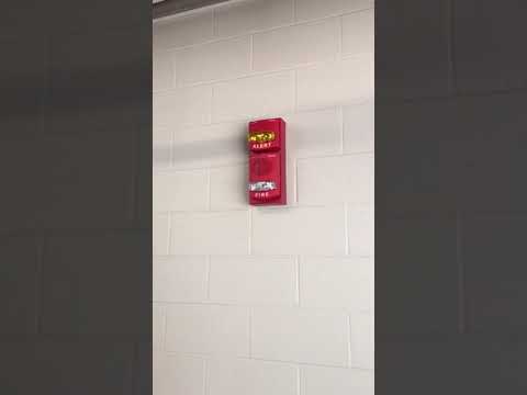 Simplex Truealert Youtube