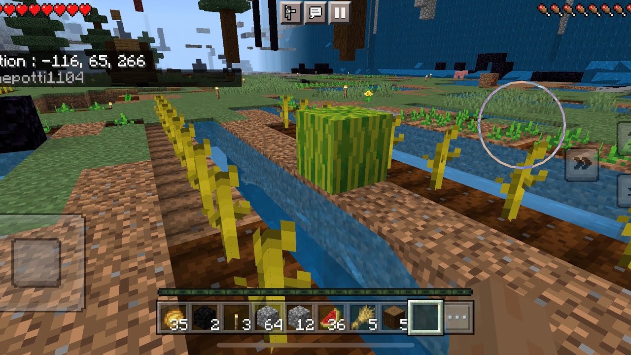 Test Minecraft Youtube